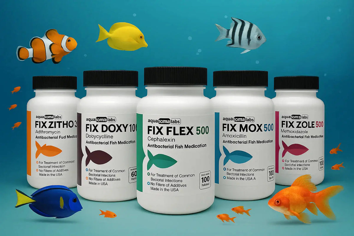 Collection Page - Nov 19, 19:14:21 – Fish Antibiotics