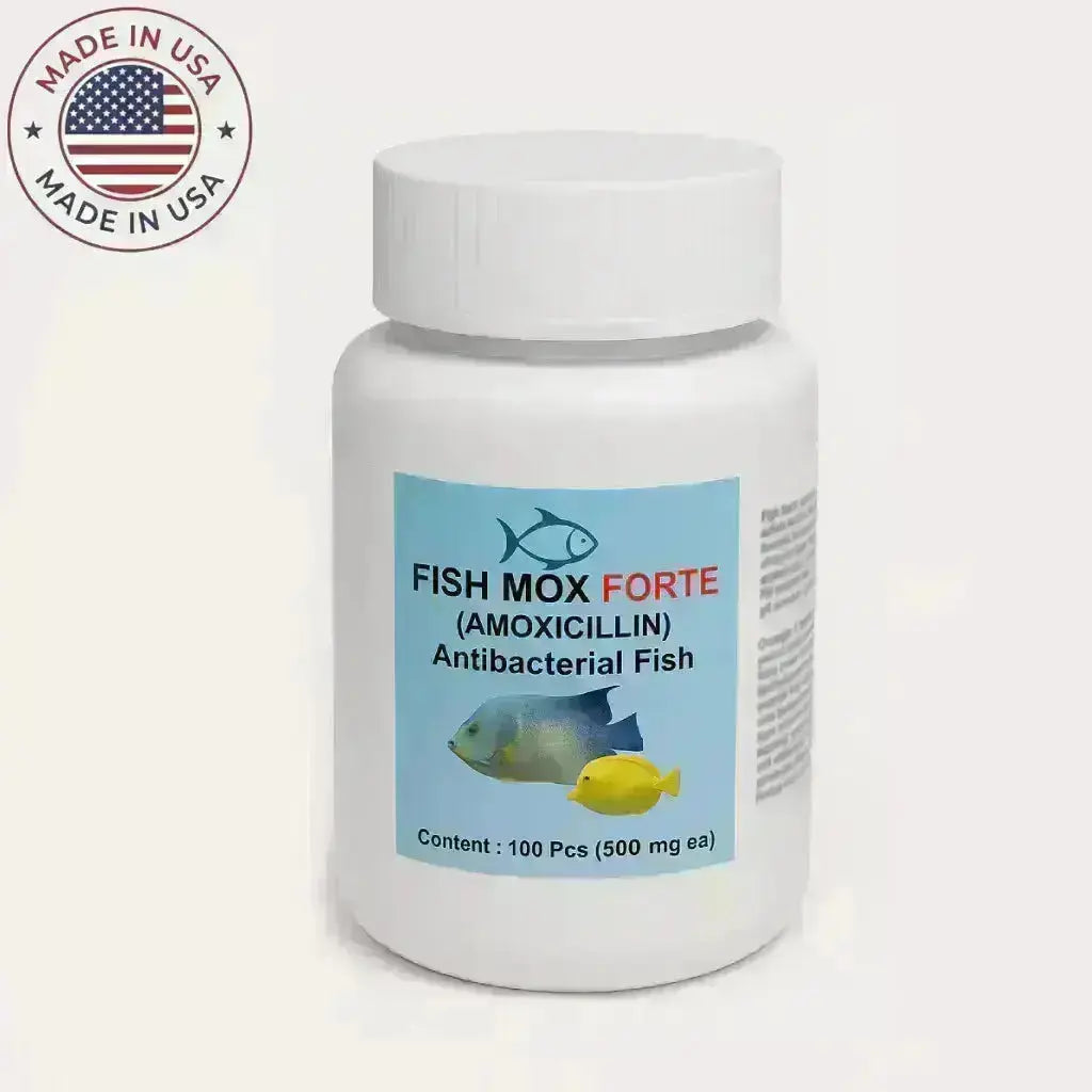 Fix Antibiotics – Fast-Acting Fish Medications by AquaSoma Lab – Fish ...