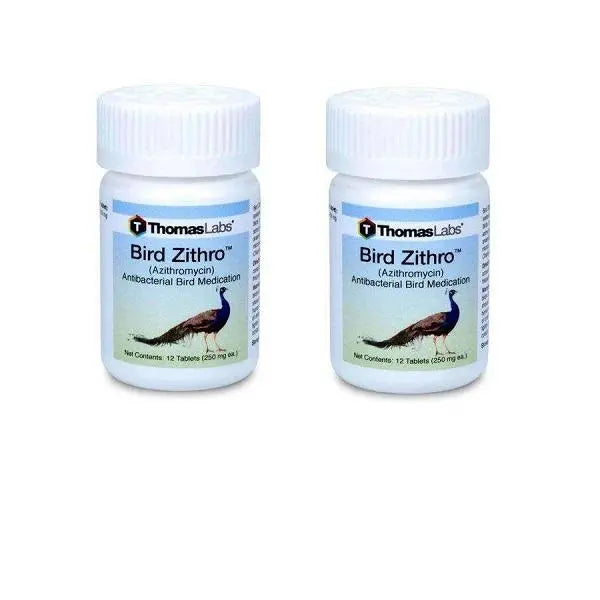 fish zithro | Fish azithromycin | thefishaid your trusted pet pharmacy ...