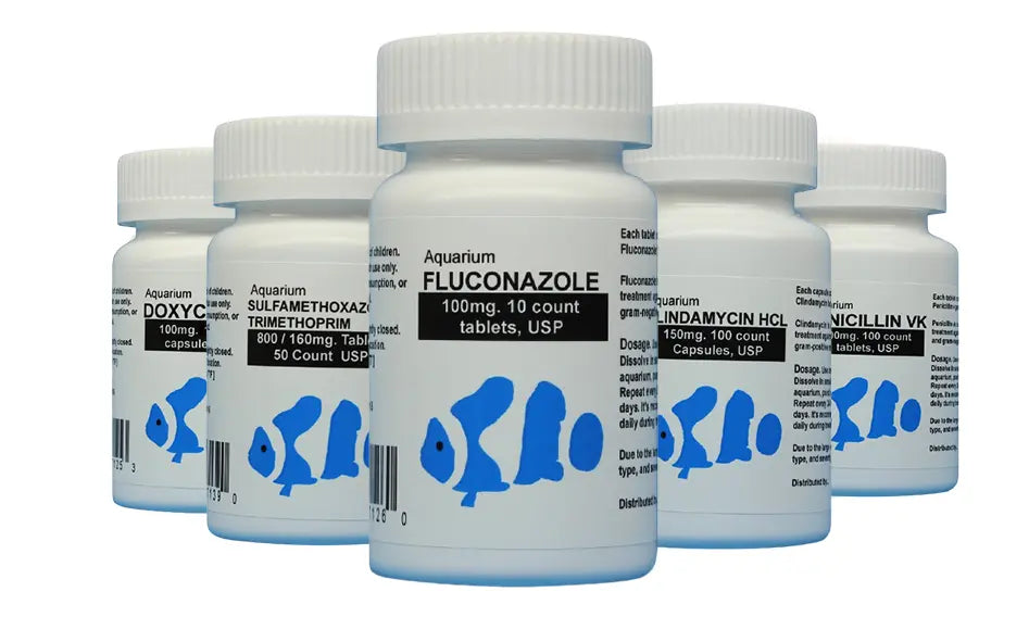 Aquarium Fish Antibiotics Free Shipping No Prescription – THEFISHAID