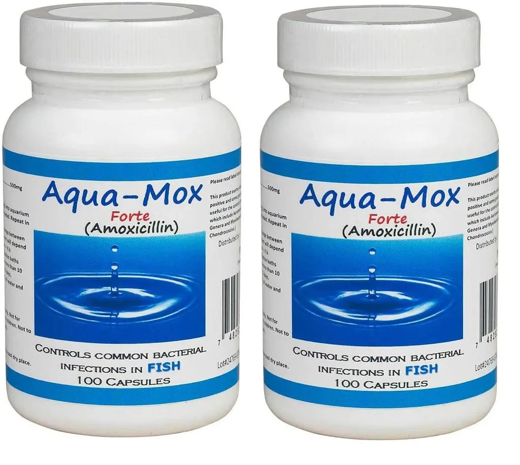 aqua Amoxicillin : Trusted Pet Pharmacy | Thefishaid – Fish Antibiotics