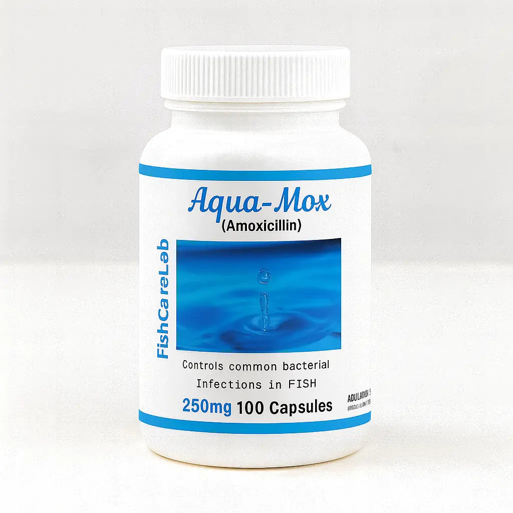 Aqua Mox 250mg 100 Capsules – Amoxicillin for Fish – Fishaid Antibiotics