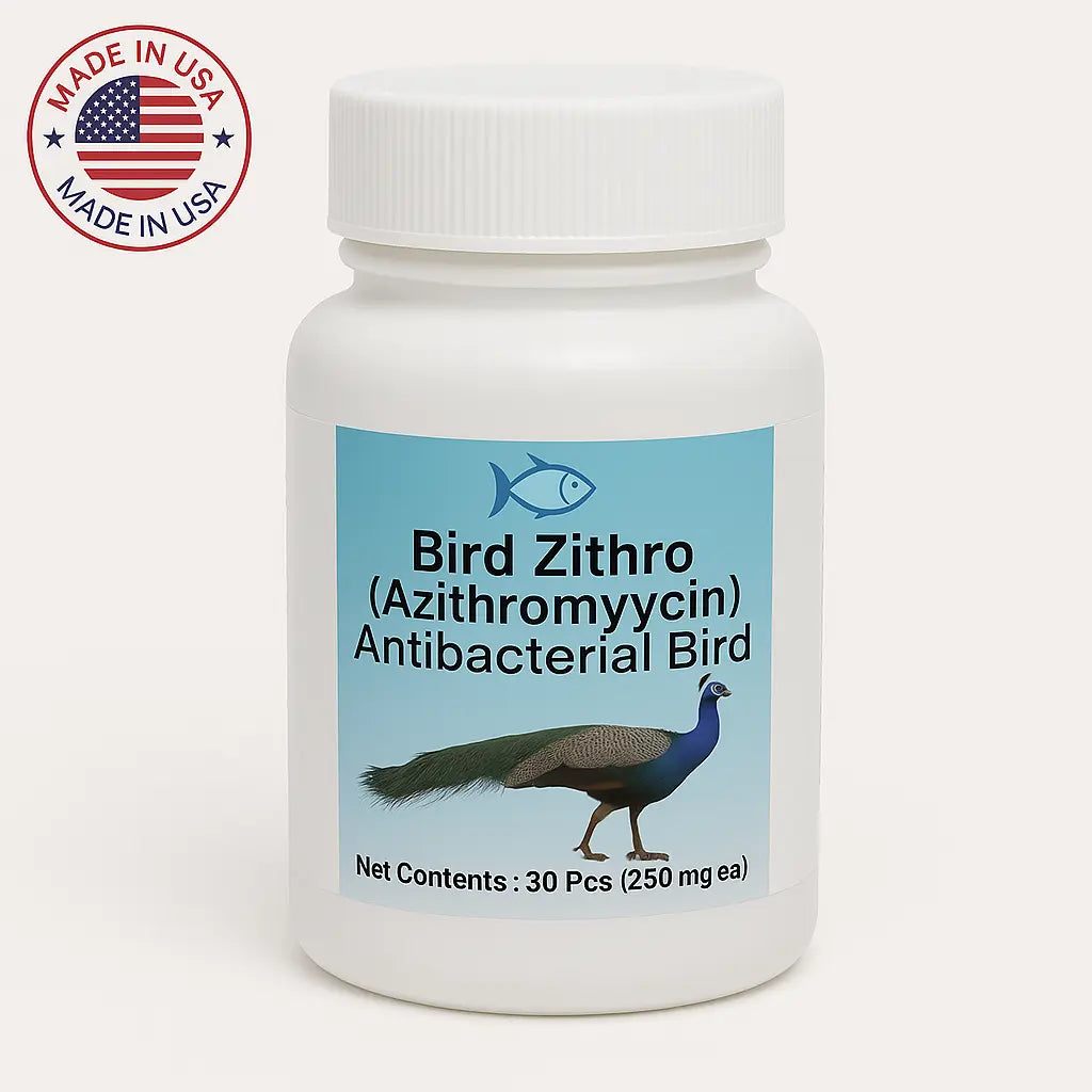 Bird aqua Zithro Azithromycin 250 mg 30 Tablets | Free Shipping ...