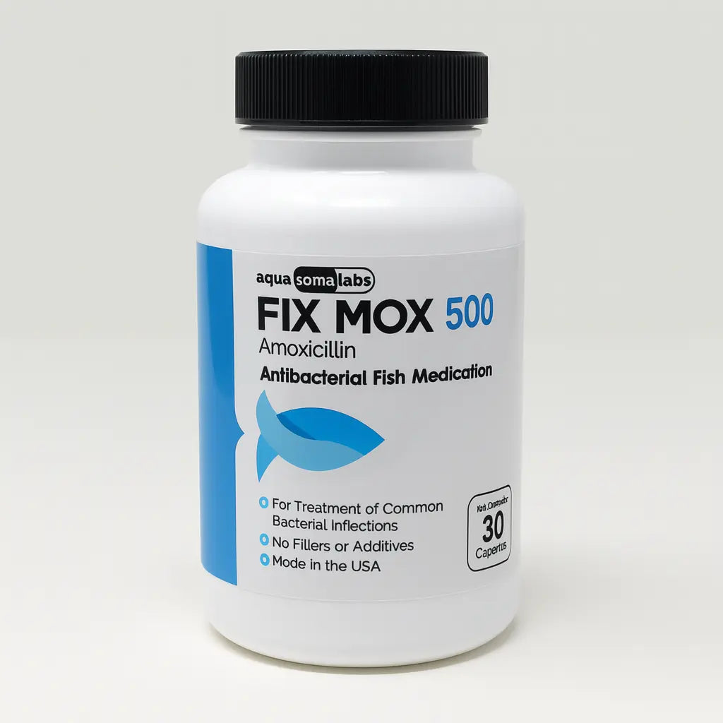 Fish Aid Amoxicillin 500 mg 100 Capsules | Fish aid Antibiotics ...