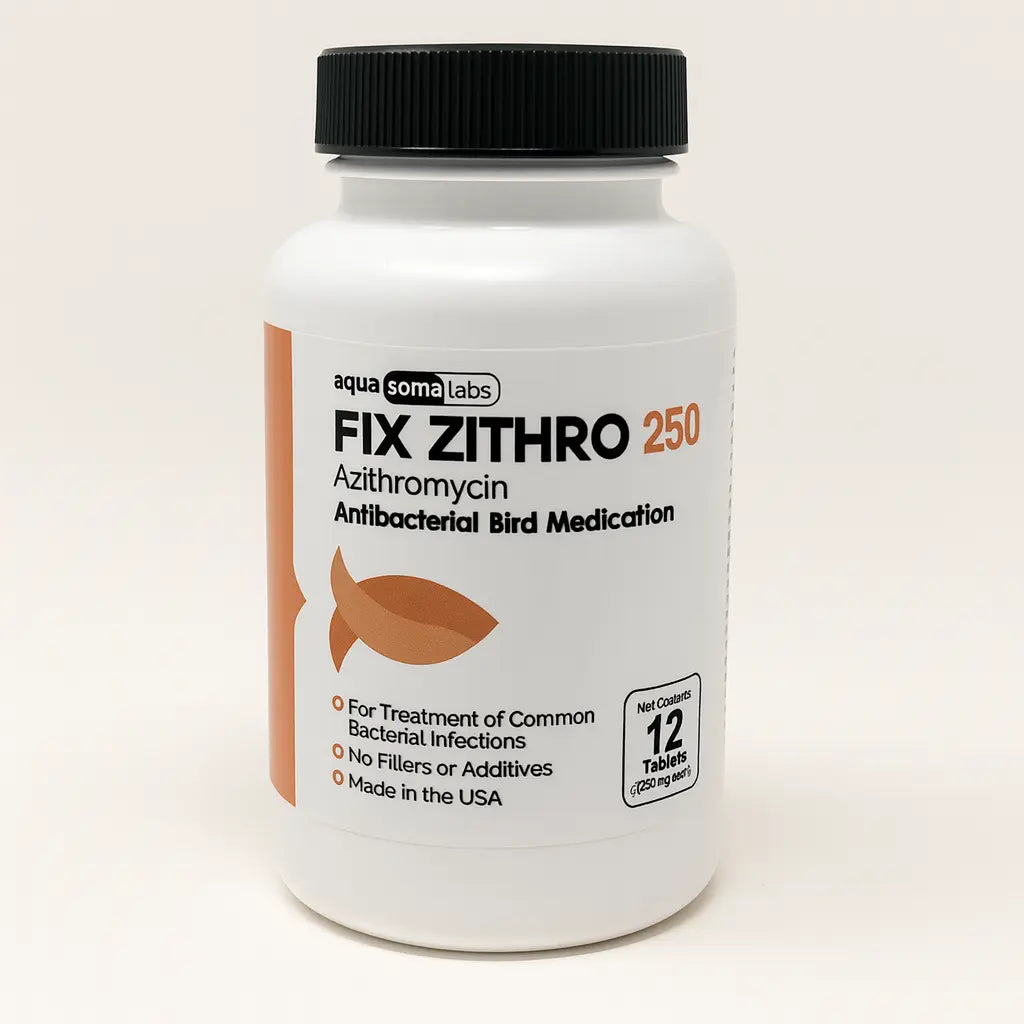 Fish Azithromycin 250 mg 12 Tablets | Azithromycin for fish – Fish ...