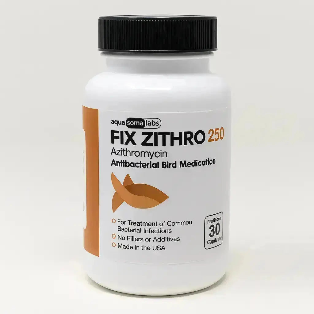 Bird And Fish Zithro - Azithromycin 250 mg - 30 Tablets | Thefishaid ...