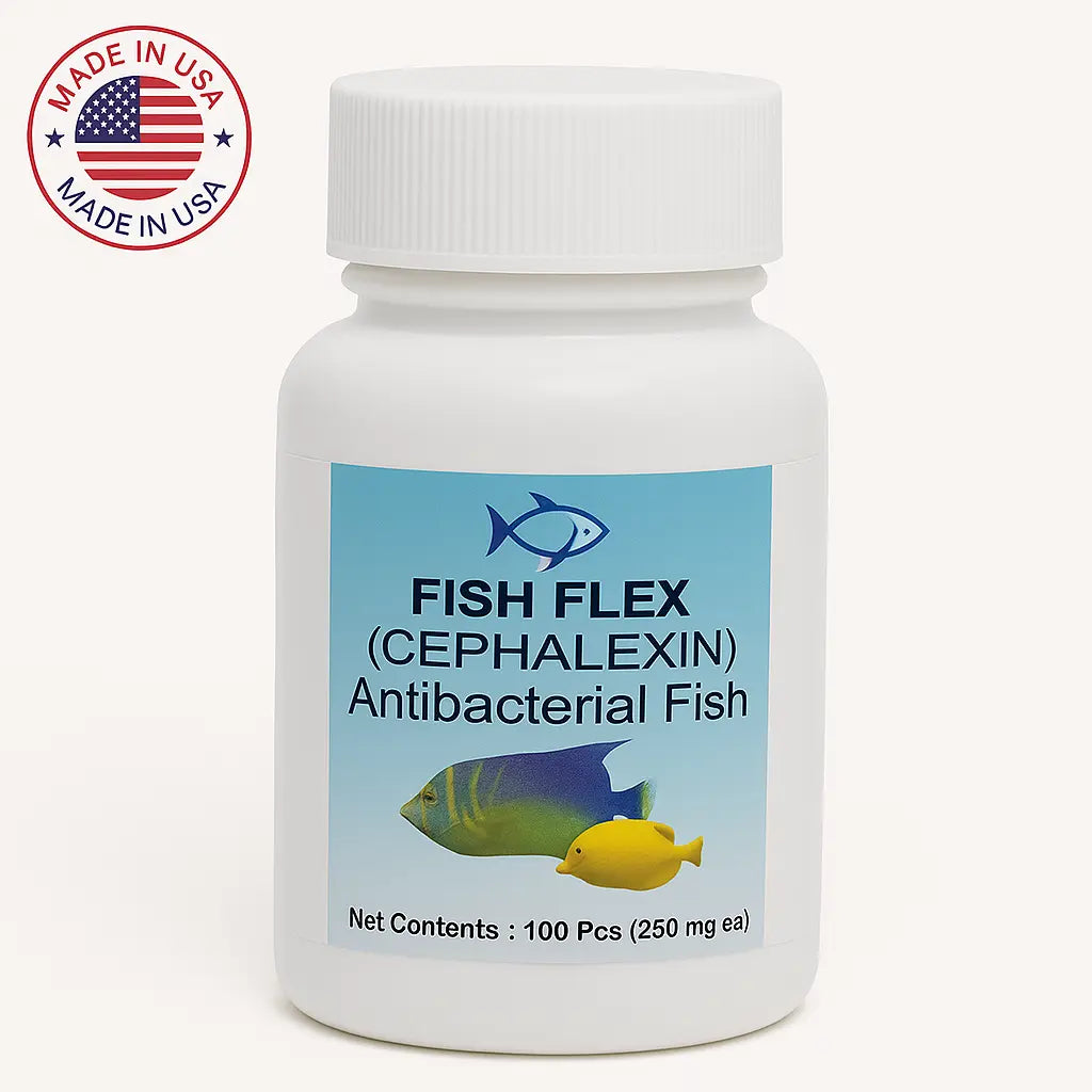 Aqua Cephalexin 500mg 100count | Free shipping | Aqua antibiotic – Fishaid