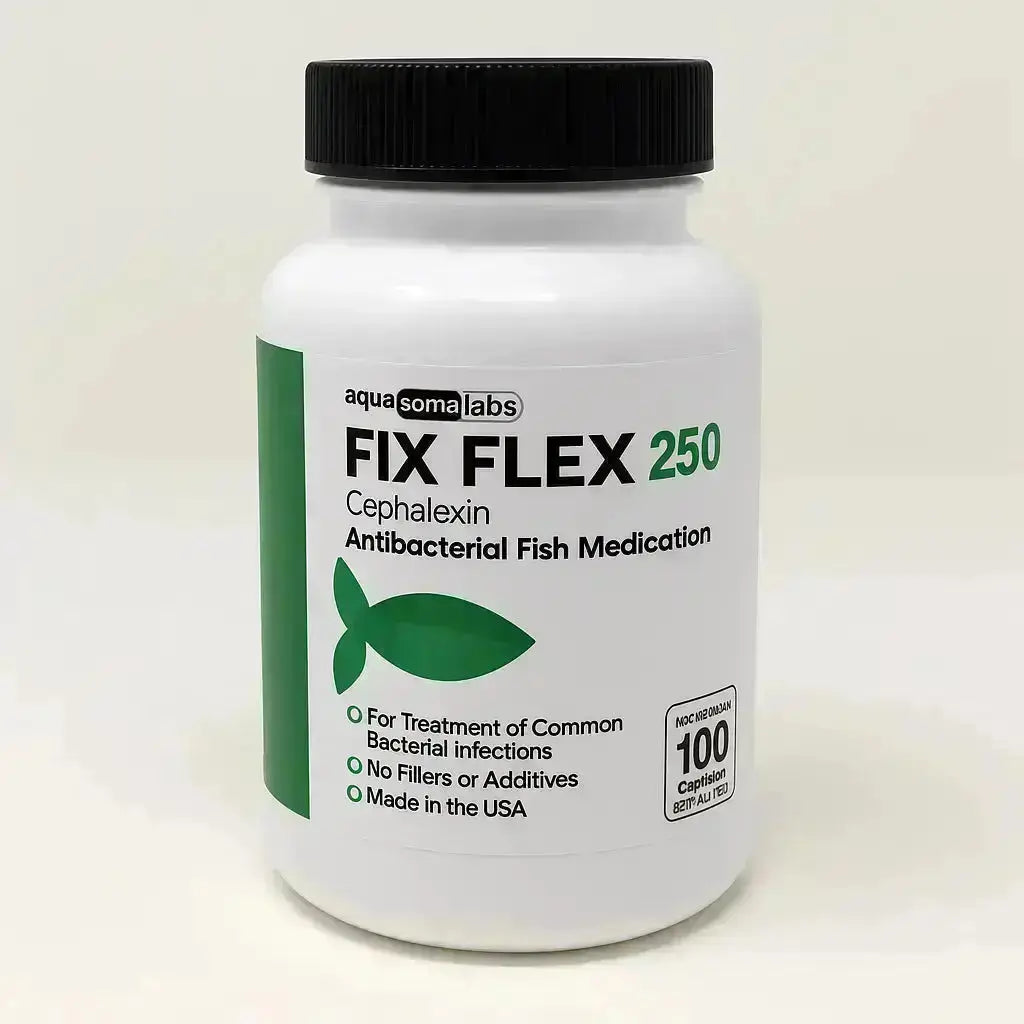 Fish Flex Cephalexin 250 mg 100 Capsules | Thomas Labs Antibiotics ...