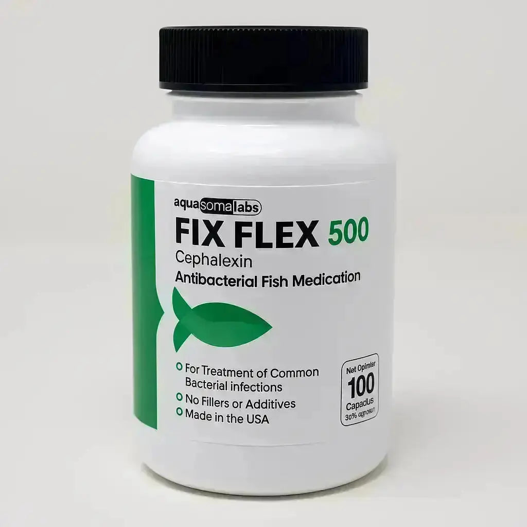 Fish Flex Forte - Cephalexin 500 mg 100 Capsules 2 Pack | Free shipping ...