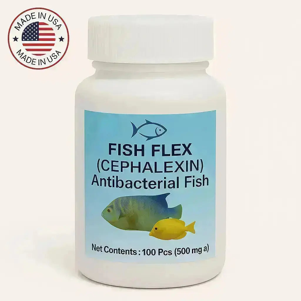 Fish Flex Forte - Cephalexin 500 mg 100 Capsules 2 Pack | Free shipping ...