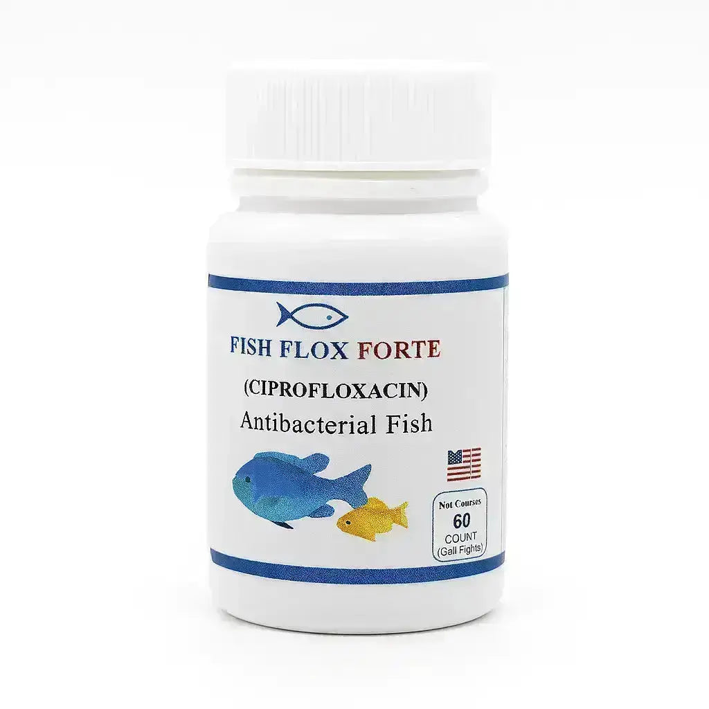 Fish Cipro 500mg Fish Ciprofloxacin 60 Capsules - Thefishaid – Fishaid