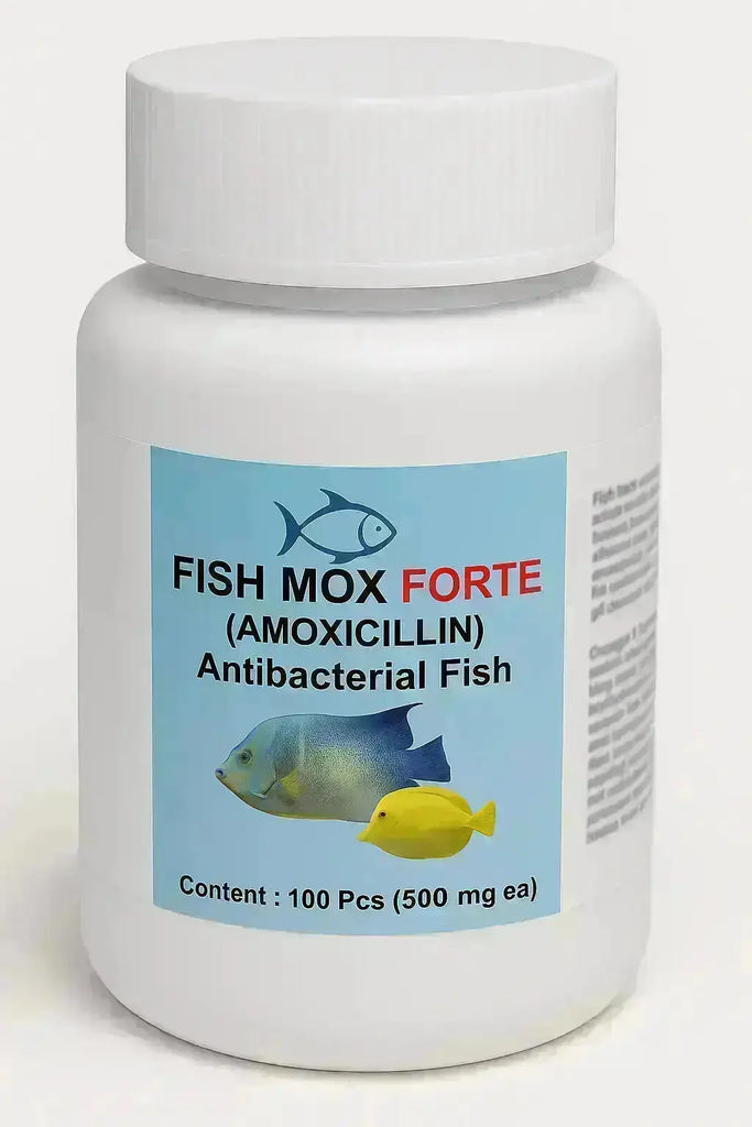 Aqua mox amoxicillin 500mg - 100 Capsules | Free Shipping | Thefishaid ...