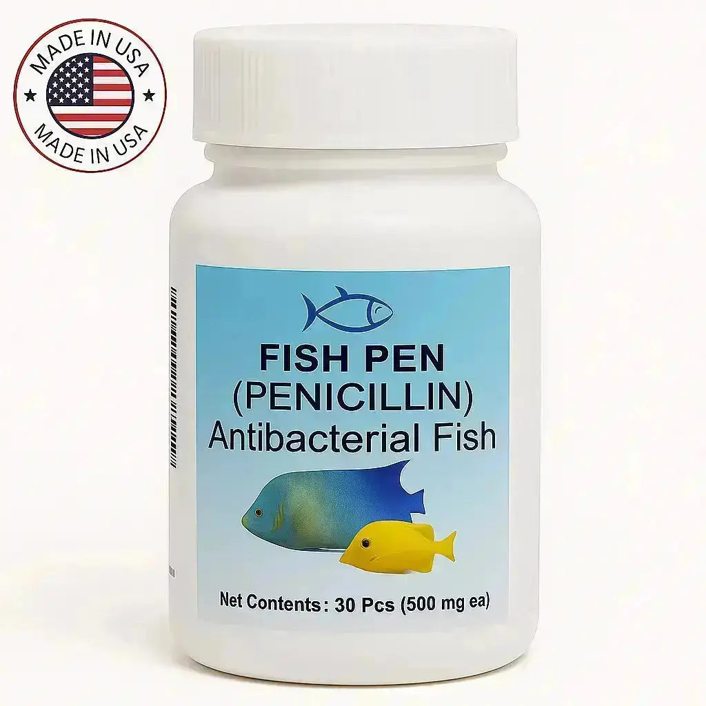 Fish Pen Forte - Penicillin 500 mg 30 Tablets | Free shipping – Fishaid