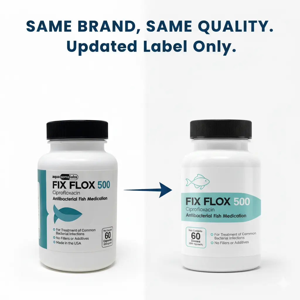 (Fish Flox Equivalent) Aqua Ciprofloxacin 500 mg | Free Shipping ...
