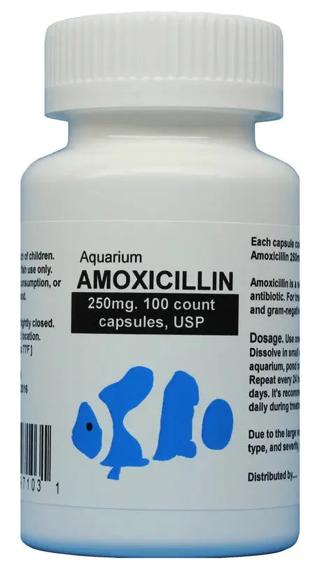 Aqua mox amoxicillin 250 mg -100 Count | Free Shipping | – Fishaid