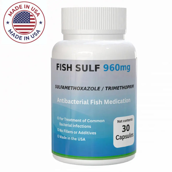 Fish sulfa forte : Trusted Pet Pharmacy | Thefishaid – Fishaid