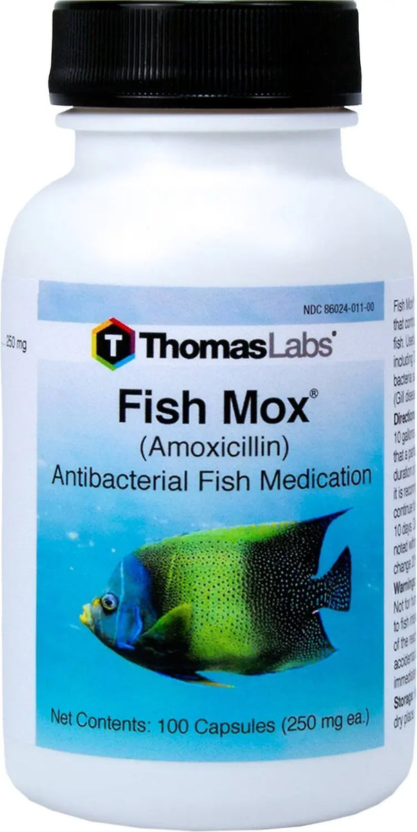 Fish Mox - Amoxicillin 250 mg : Trusted Pet Pharmacy | Thefishaid – Fishaid