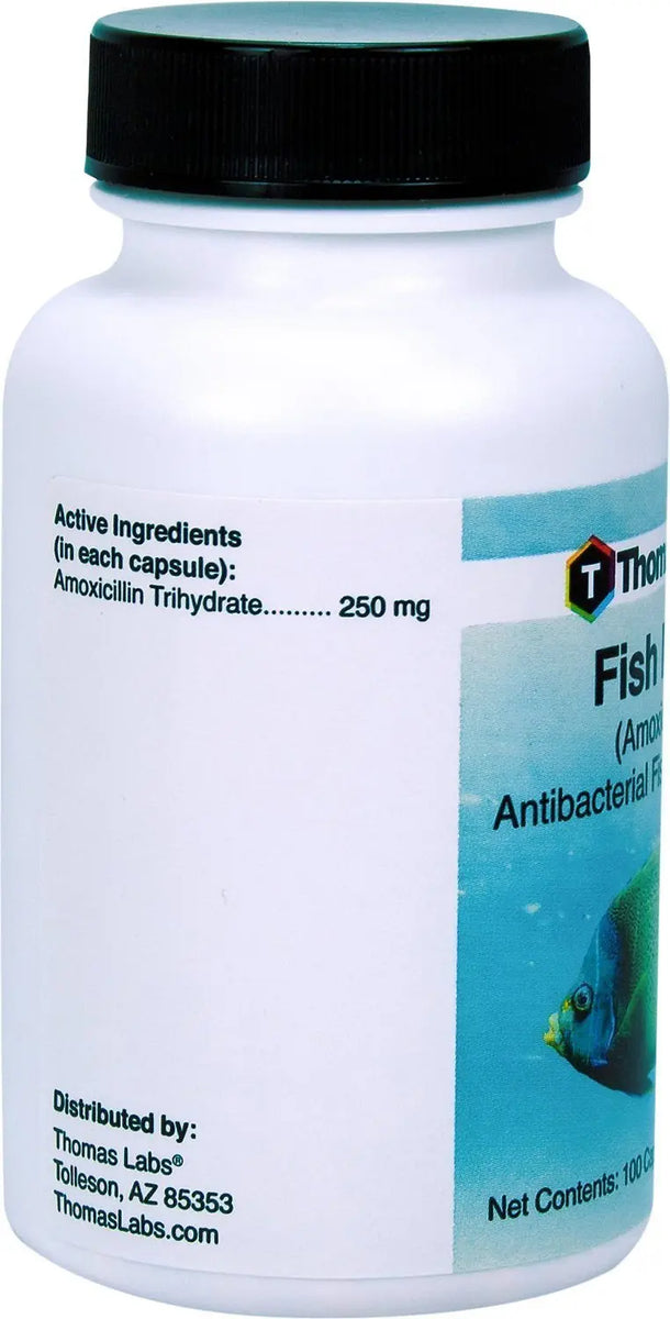 Fish Mox - Amoxicillin 250 mg - 3 Packs : Trusted Pet Pharmacy ...