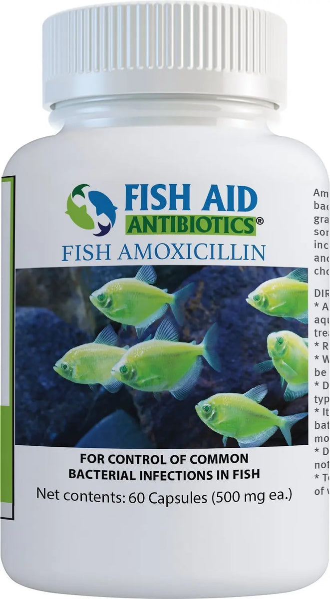 Fish Aid Amoxicillin 500 mg 100 Capsules | Fish aid Antibiotics ...