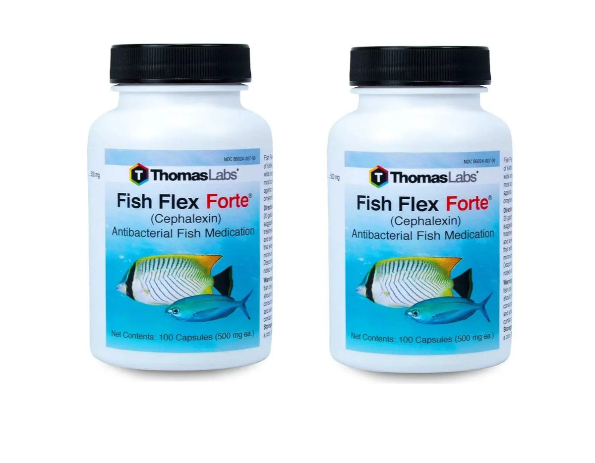 Fish Flex Forte - Cephalexin 500 mg 100 Capsules 2 Pack | Free shipping ...