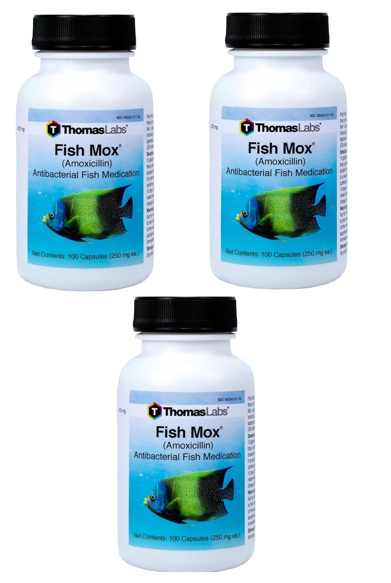 Fish Mox - Amoxicillin 250 mg : Trusted Pet Pharmacy | Thefishaid – Fishaid