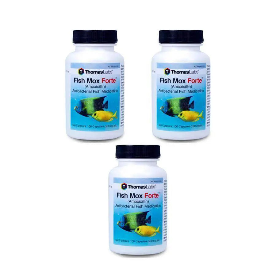 Fish Mox Forte 500mg : Trusted Pet Pharmacy | Thefishaid – Fishaid