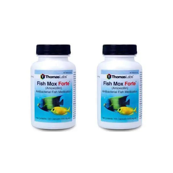 Fish Mox Forte 500 100 Capsules 3 Packs : Trusted Pet Pharmacy ...