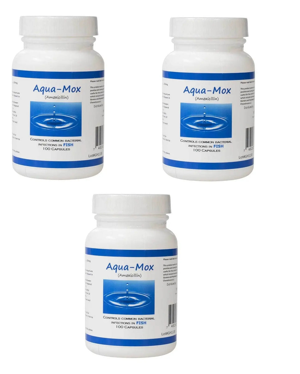Aqua mox 250mg amoxicillin -100 Count | Free Shipping | – Fishaid
