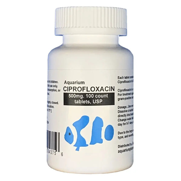 Fish Ciprofloxacin 500 mg 30 Capsules - 60 Capsules | Fish Antibiotics ...