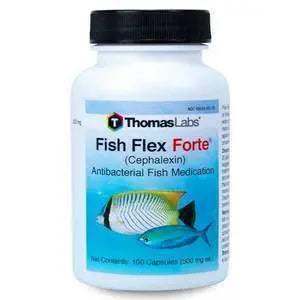 Fish Flex Forte - Cephalexin 500 mg | Free shipping – Fishaid