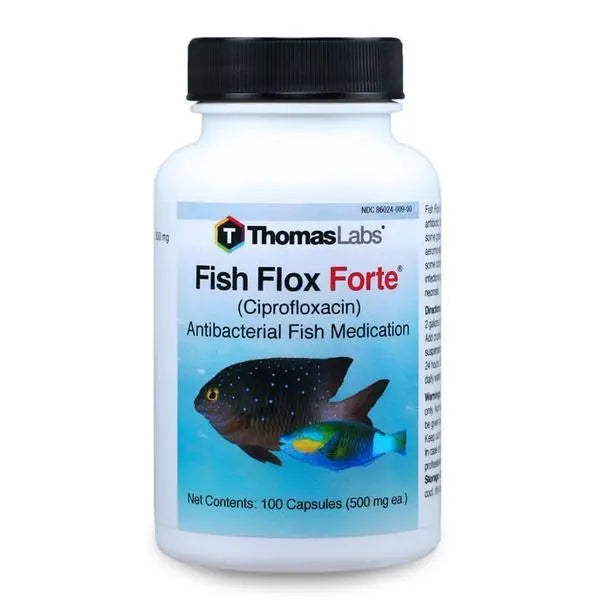 Fish Flox Forte Thomas labs Ciprofloxacin | Lowest Price Guaranteed ...