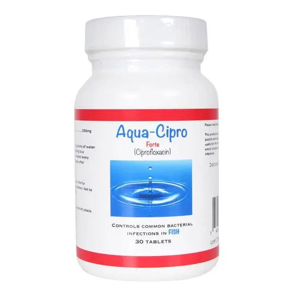 Aqua Cipro Ciprofloxacin- 500 mg Fish Flox Forte | Free shipping – Fishaid