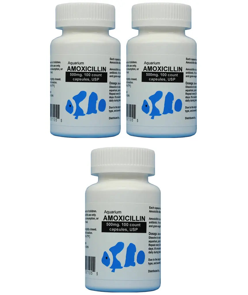 fish mox forte 500mg 300 count | Free Shipping | Fish aid – Fishaid