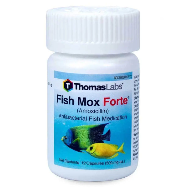 Fish Mox Forte - Amoxicillin 500 mg | Free shipping – Fishaid